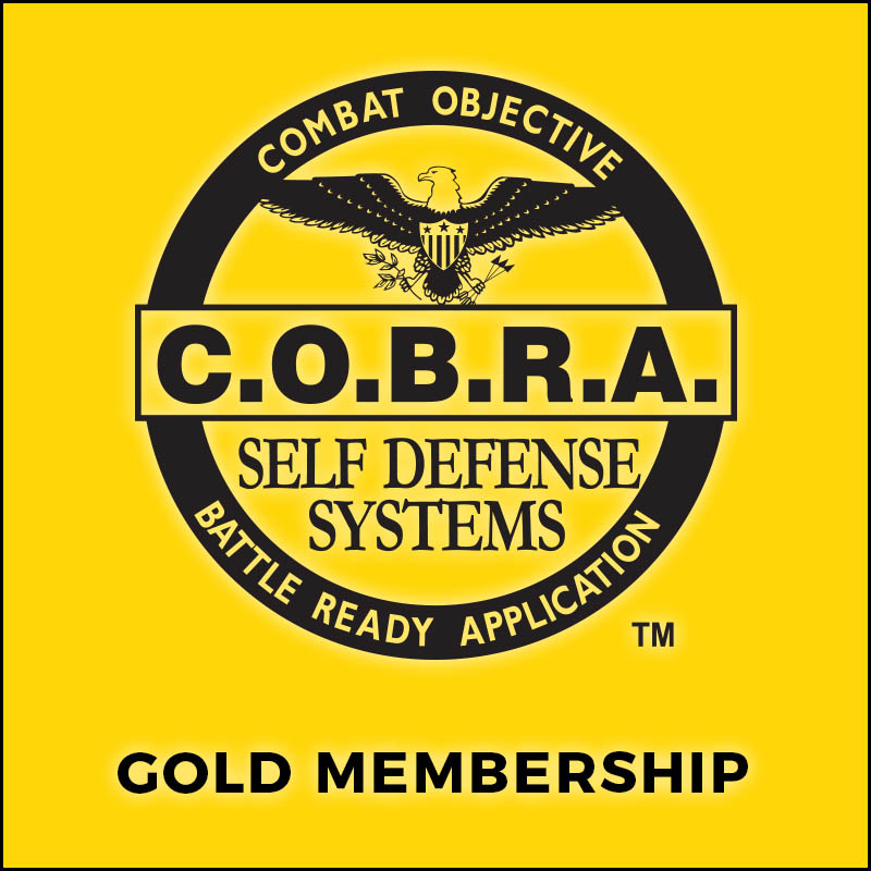 Become a C.O.B.R.A.™ Certified Instructor | Get C.O.B.R.A.™ Self ...